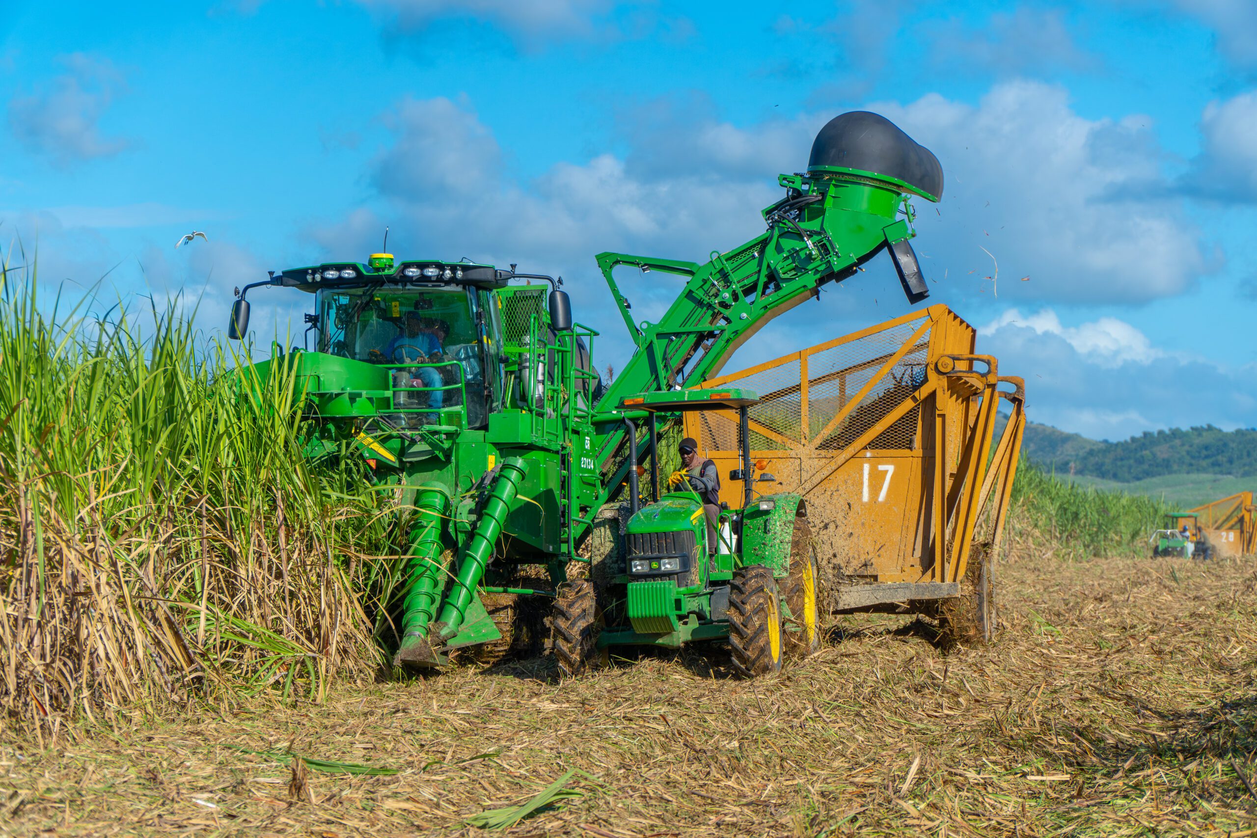 CENTRAL ROMANA ANUNCIA FIN DE ZAFRA 2024 Y EL PAGO DE RD$939 MILLONES ...