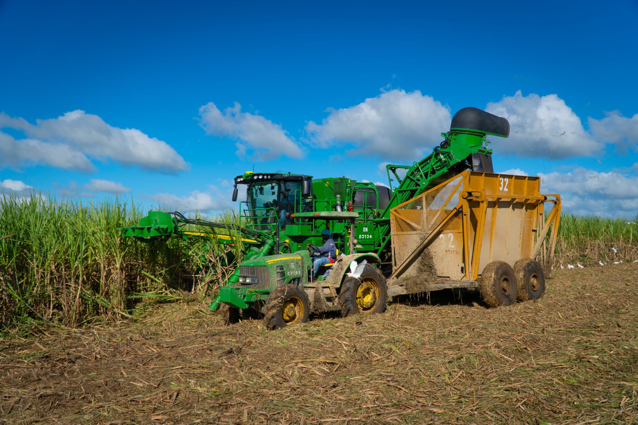 CENTRAL ROMANA ANUNCIA FIN DE ZAFRA 2024 Y EL PAGO DE RD$939 MILLONES ...